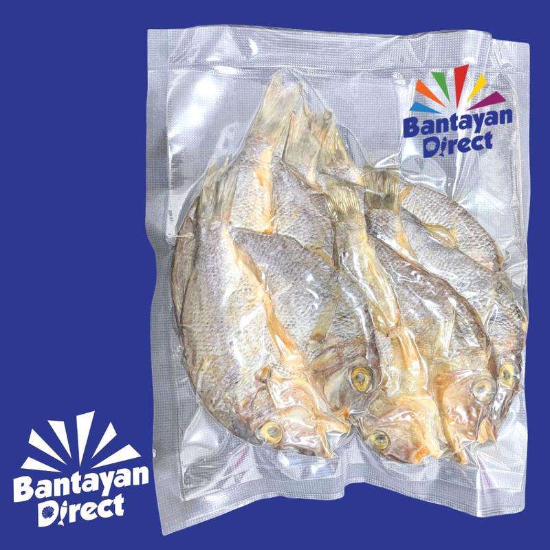Bantayan Direct Dried Katambak (Small) Fish Dry - TikTok Shop Philippines